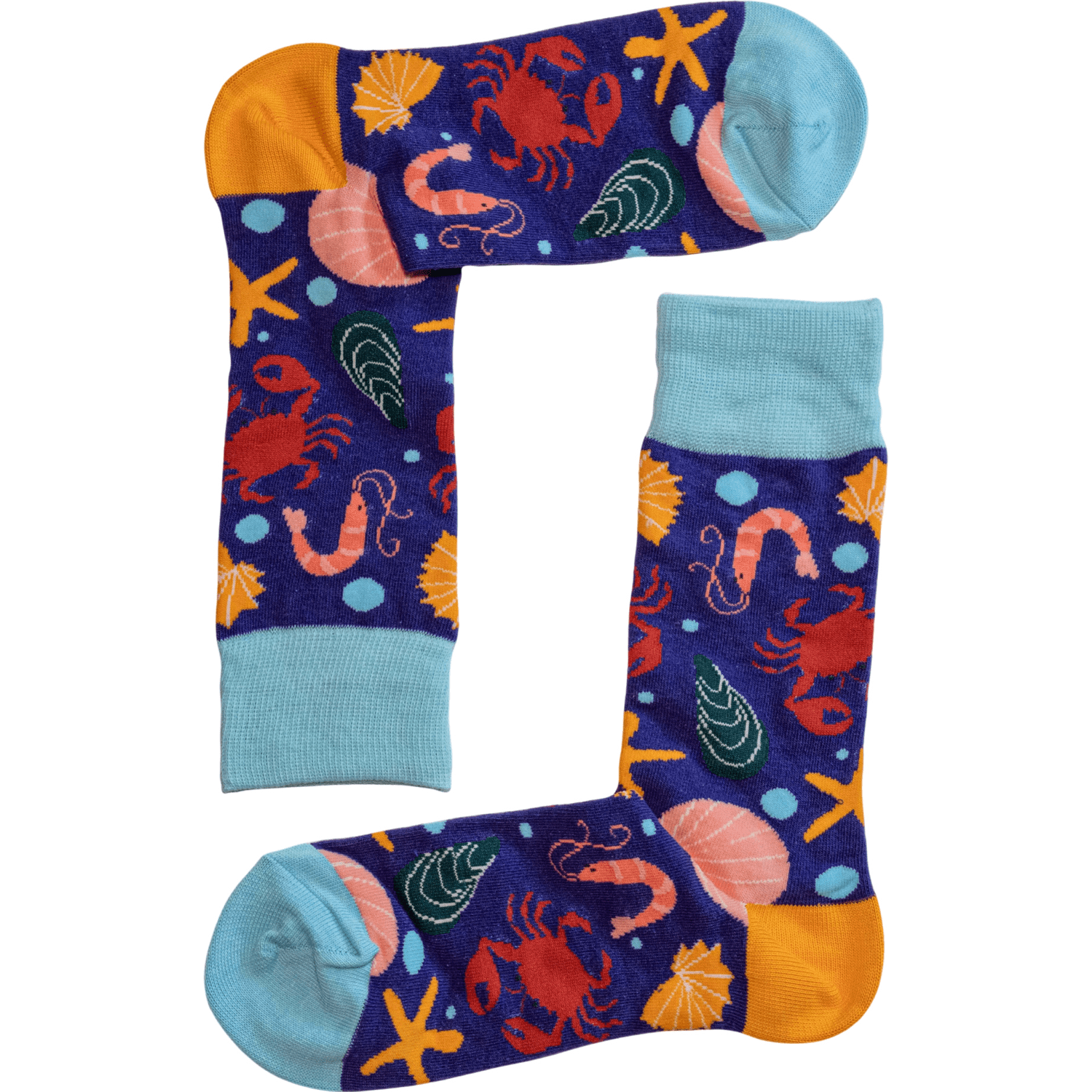 Sea Creatures Socks – aaasocksanduggs.com.au
